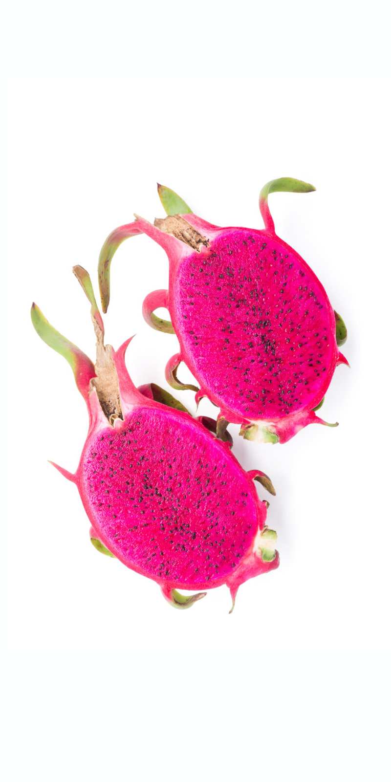 Frozen Organic Bulk Coconut Water -Frozen Organic Bulk Coconut Meat